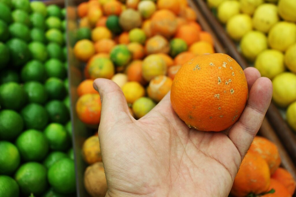 frutas cítricas-limão-laranja-alimentos energizantes-aumentar a ...