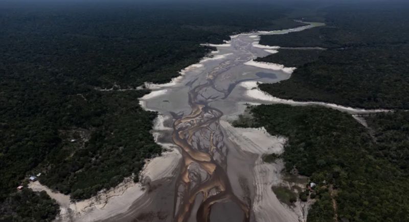 Estudo: mudanças climáticas causaram seca recorde na Amazônia